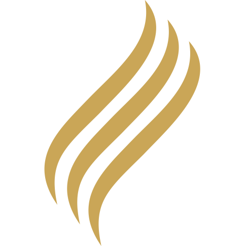 Your Color Universal Color Palette | YOUR COLOR